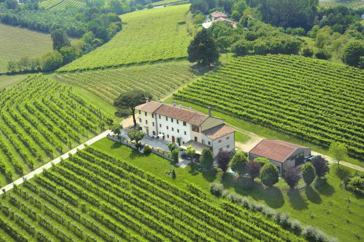 Terre Boscaratto - Conegliano