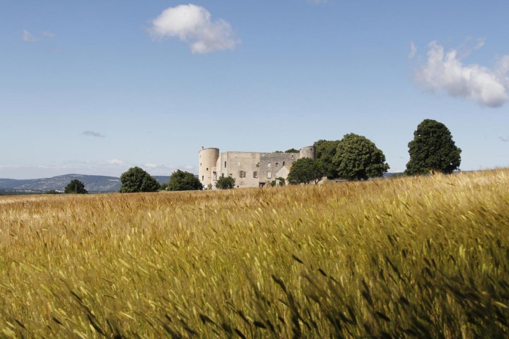 Château De La Gabelle Férrassières - Montbrun-les-Bains
