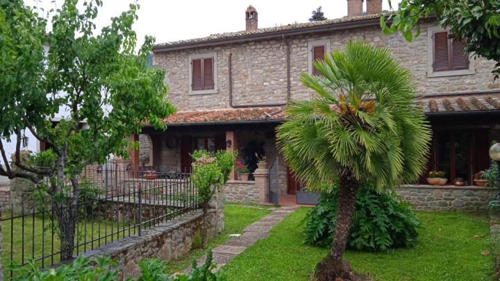 Magnolia - Cortona