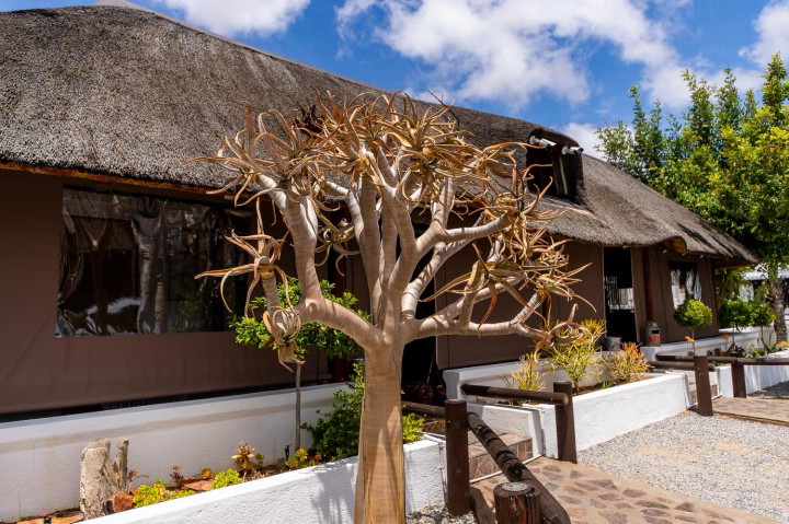 Kleinplasie Guesthouse - Springbok