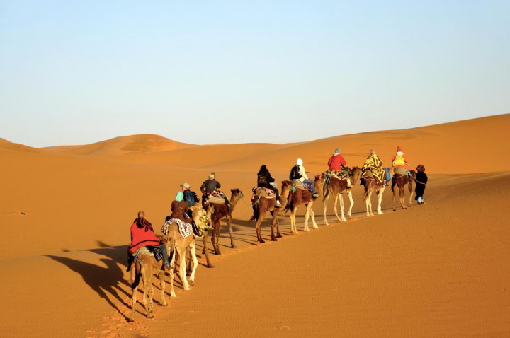  - Maroc