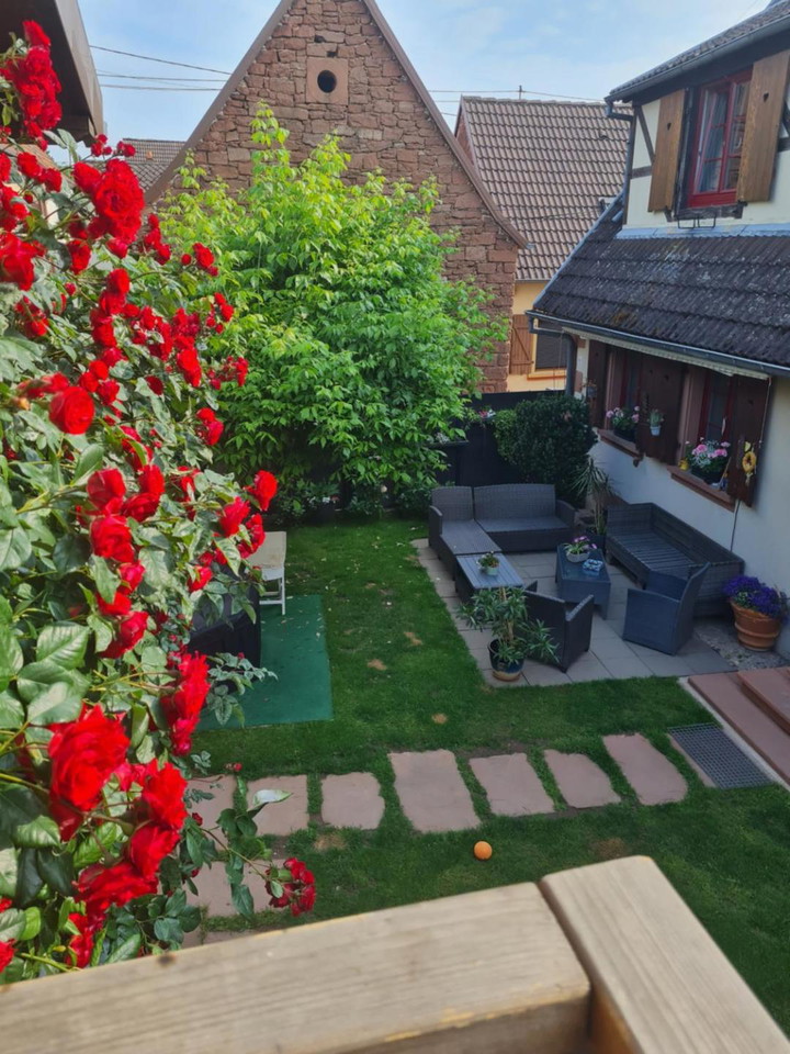 Studio Chez Eve Et Momo - Baerenthal