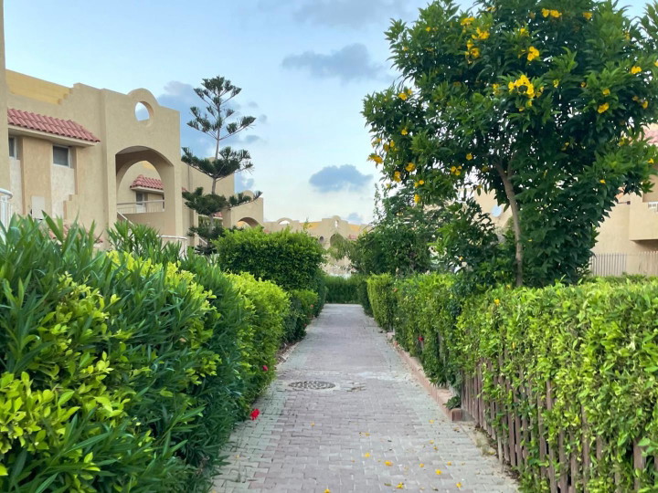 52h Green Leaves Village, Families & Couples Only - Égypte
