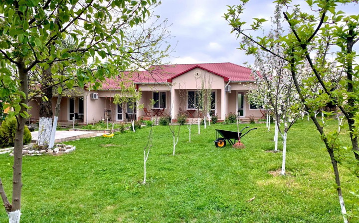 Cozy Family Cottages - Azerbaijan