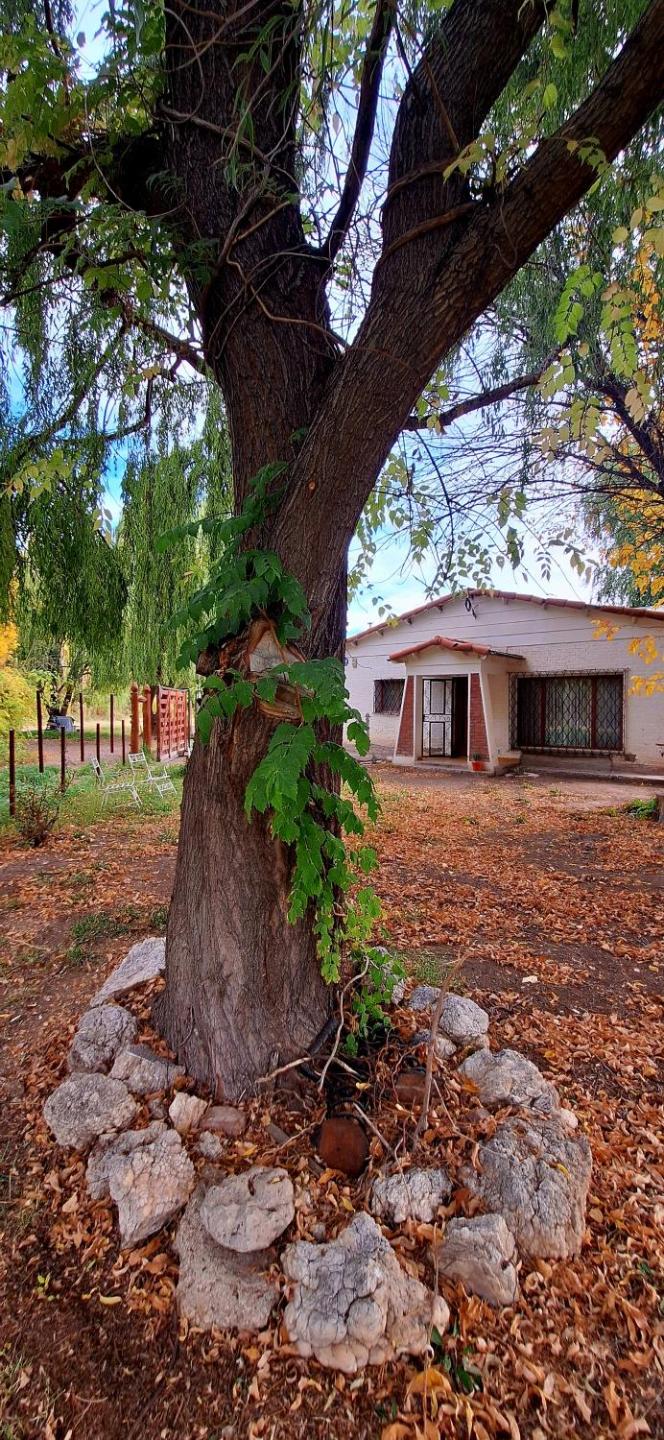 Casa De Campo Alma Rural - Centenario