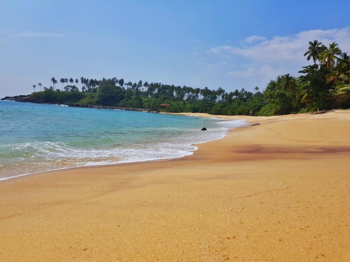 The Nest - Sri Lanka