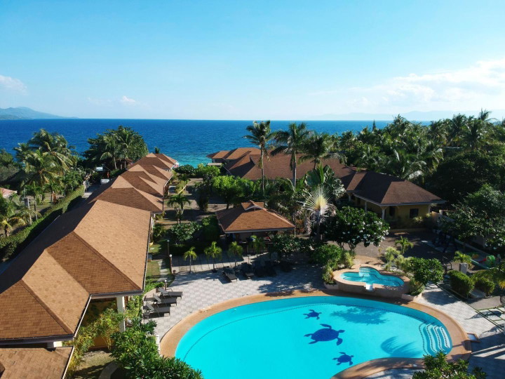 Turtle Bay Dive Resort - Moalboal