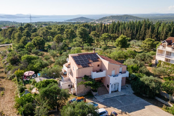 Dalmatian - Šibenik