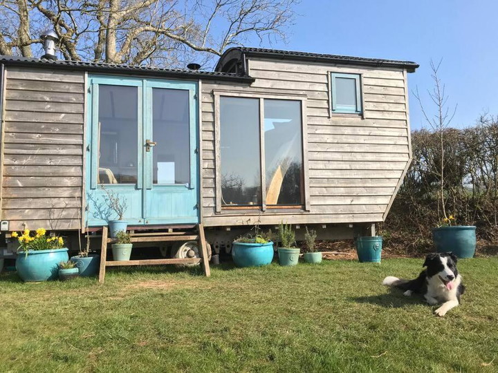 Secluded Shepherds Hut, With A View - Ashburton, UK