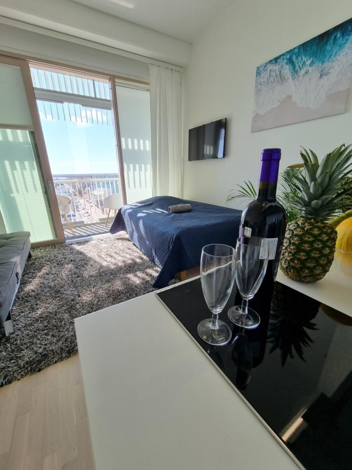 Penthouse In The Oulu Center - Oulu
