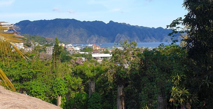 Relax Seaview Chalet With Ac And Balcony - Coron
