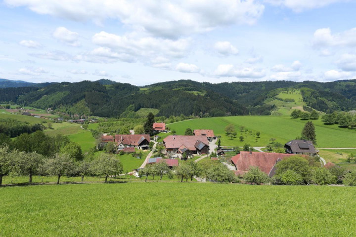 Hofgut Schwarzwaldliebe - Black Forest