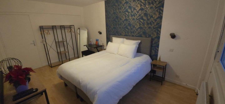Grande Chambre Calme Et Confortable Centre Strasbourg Gare - Straatsburg