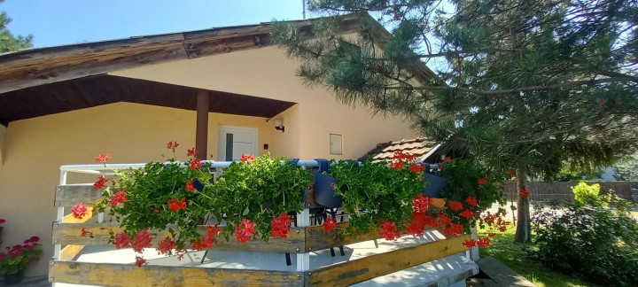 Piar - Palić