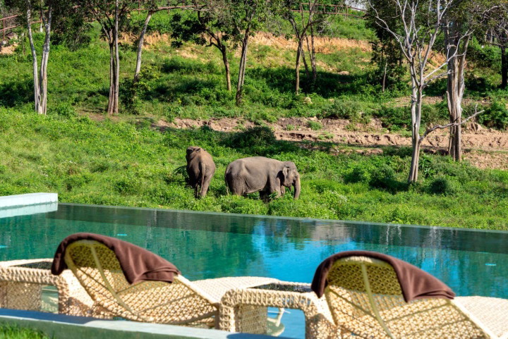 Wild Cottages Elephant Sanctuary Resort - Koh Samui