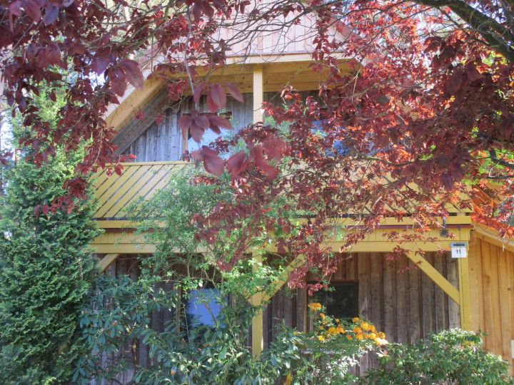 Ferienhaus Knopf -Direkt Am Küstenwald - Zinnowitz