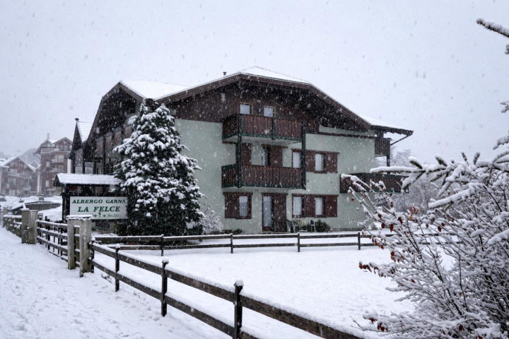 Chalet La Felce - Pinzolo