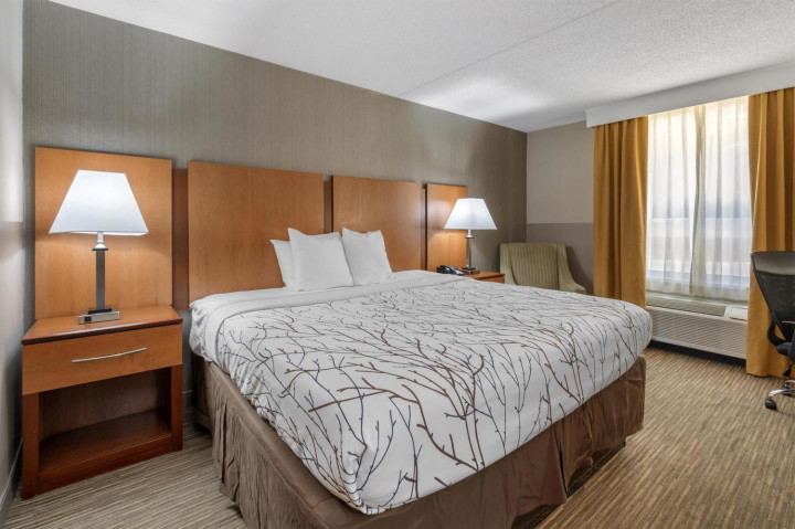 Best Western La Plata Inn - Waldorf, MD