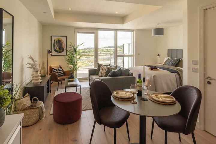 Large Luxurious Studio, Dublin18 - Bray