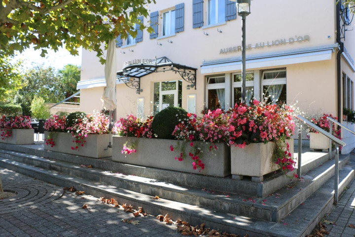 Auberge Au Lion D'or - Canton of Vaud