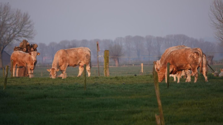 B&b Bij Bronckhorst - Doesburg