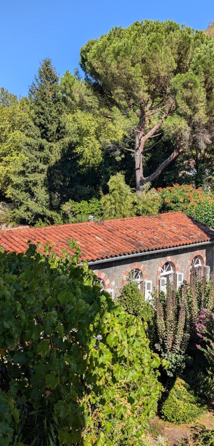 Gîte Wistéria - Mazamet