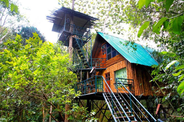 Khao Sok Tree House Resort - Khao Sok