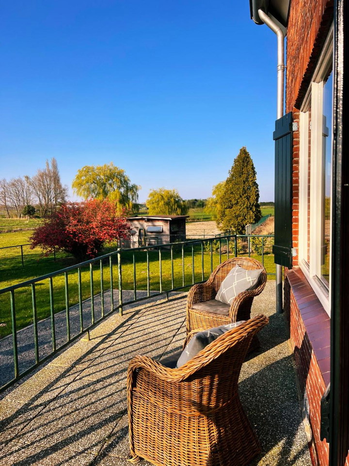 Hoeve Molenschot - Hoogstraten
