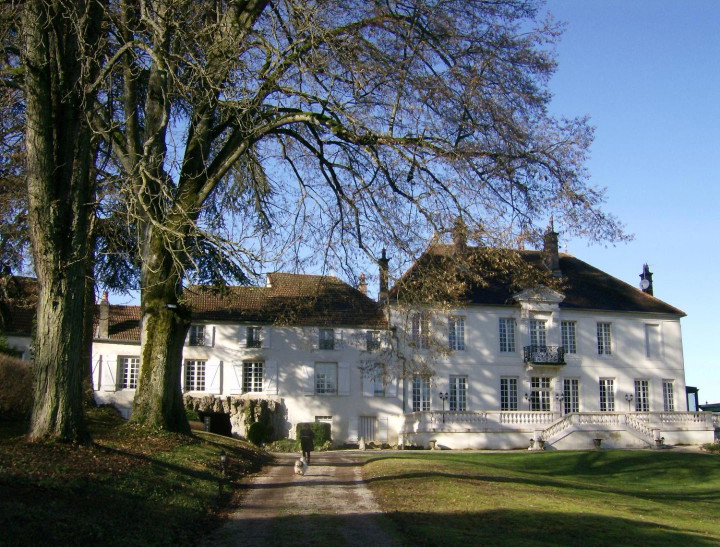 Le Chateau De Prauthoy - Haute-Marne
