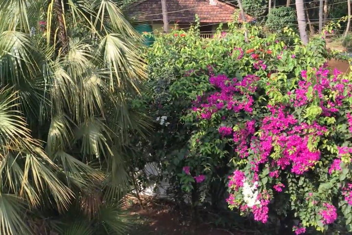 1 Bhk Luxury Beachside Homestay In South Goa - Goa