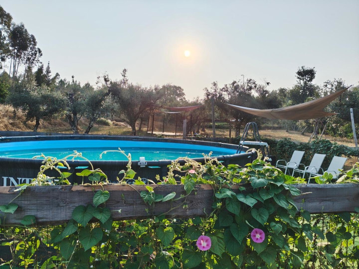 Quinta Lima - Portugal