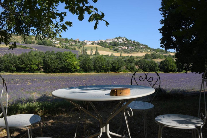 La Bergerie En Provence - Frankreich