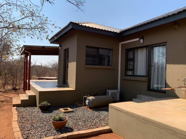 African Olive - Hoedspruit