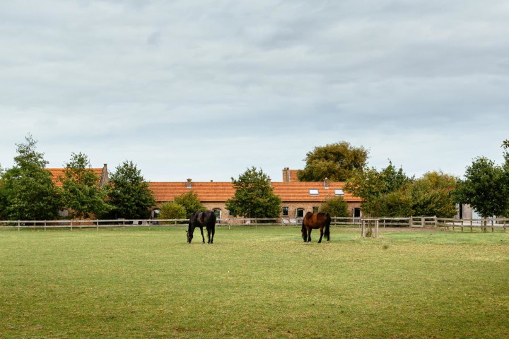 Het Zwaluwnest - Middelkerke