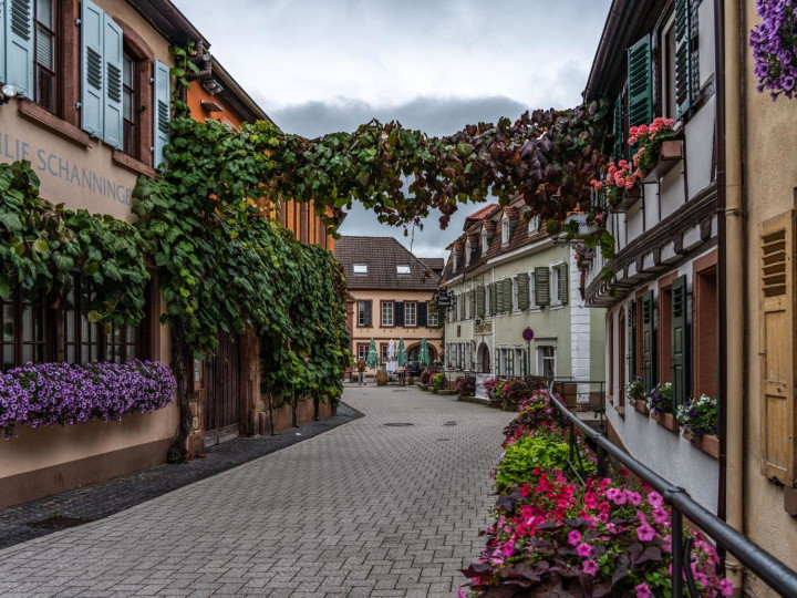 Hotel Zur Krone - Burrweiler
