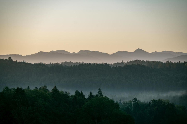 Bio-landhotel Moarwirt - Bad Tölz
