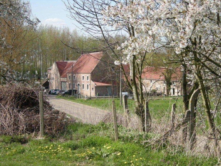 De Verborgen Parel B&b - Sint-Truiden