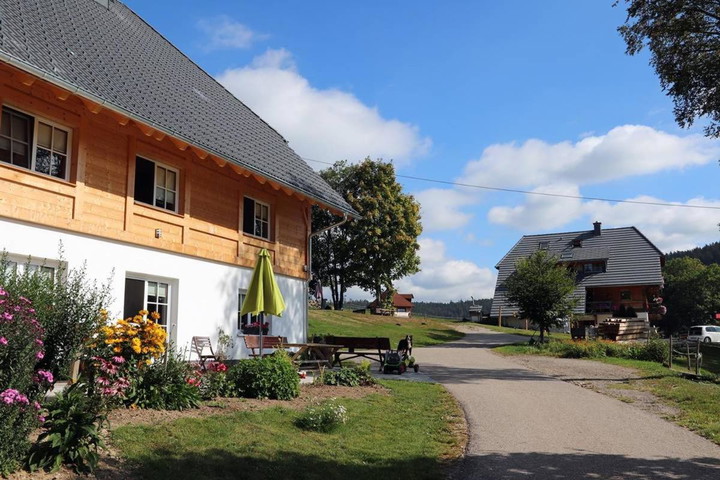 Balzenhof - Titisee-Neustadt