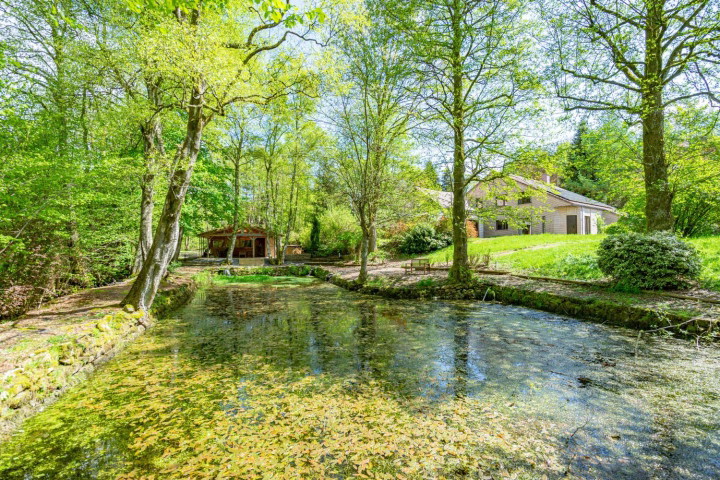 Gîte Castor - Saint-Hubert