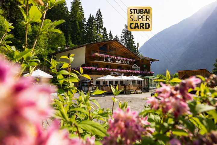 Hotel Waldcafe - Neustift im Stubaital