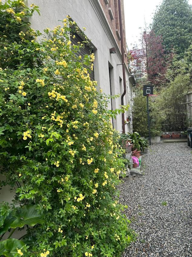 Loft Crimea Con Patio - Turin
