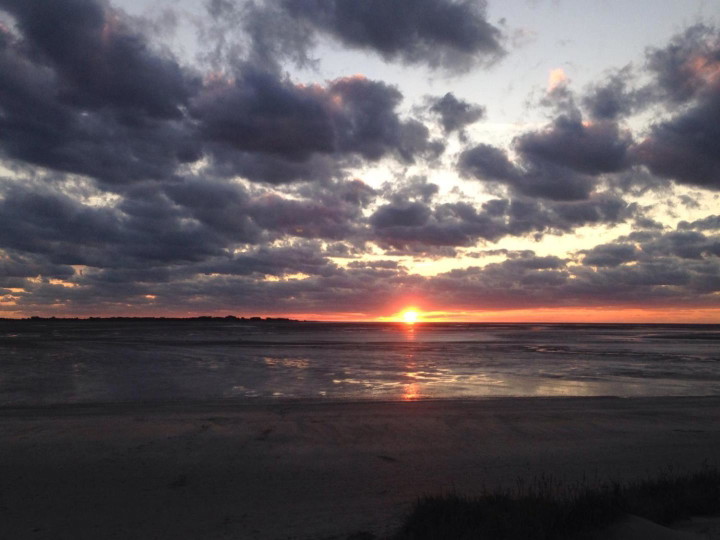 Coté Dune - Cayeux-sur-Mer