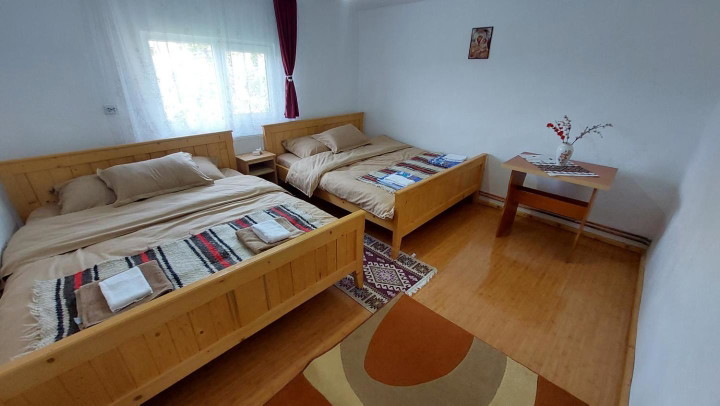 Casa Din Deal-apuseni - Roumanie