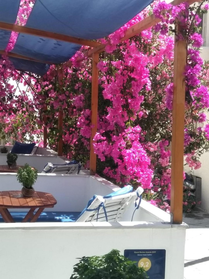 Doron Hotel Delfini - Naxos