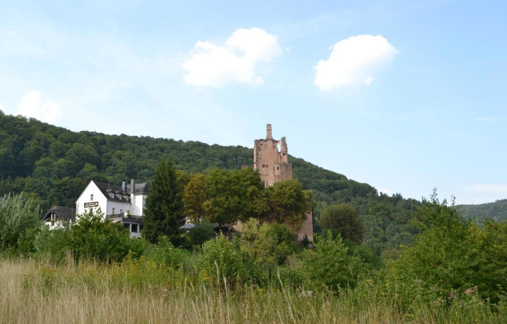 Hotel-restaurant Burg-ramstein - Trier