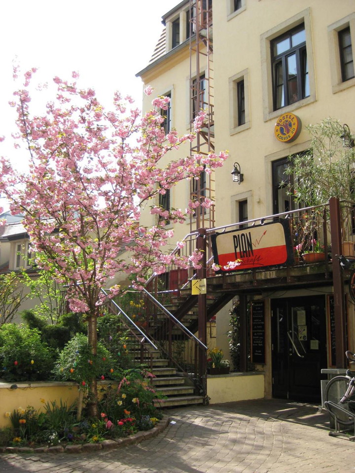 Hostel Louise 20 - Dresden