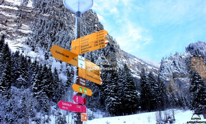Alpina Appartment 2 - Adelboden