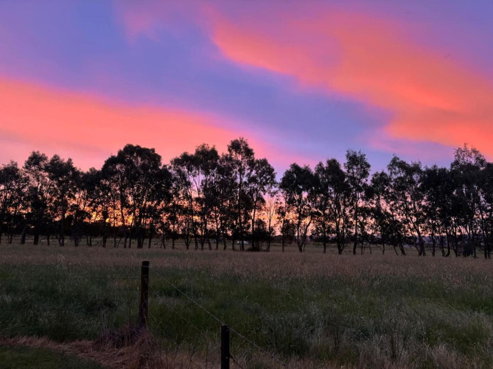 Cycle On Star Lane - Beechworth