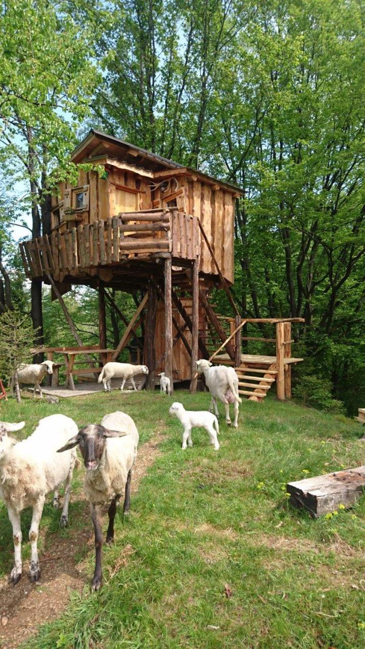 Treehouse Toplak - Slovenia
