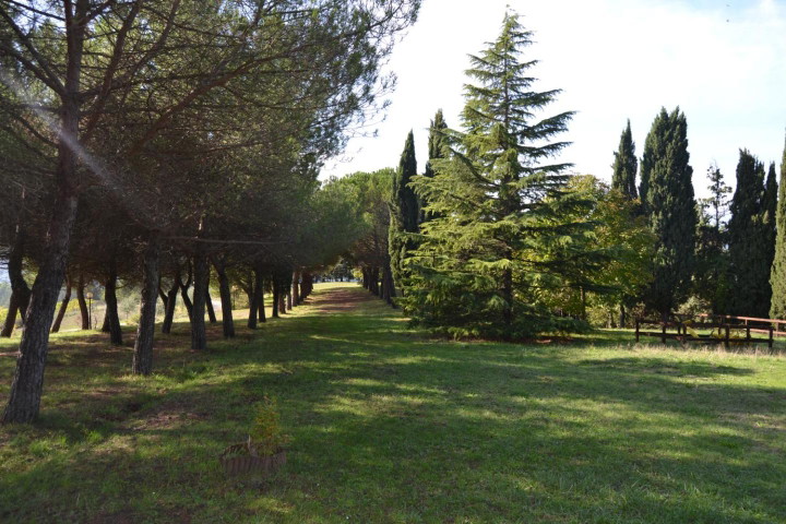 Agriturismo I Muri - Umbria
